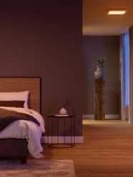 Hue Akari Downlight 90 mm White and Colour Ambiance | Philips Hue AU