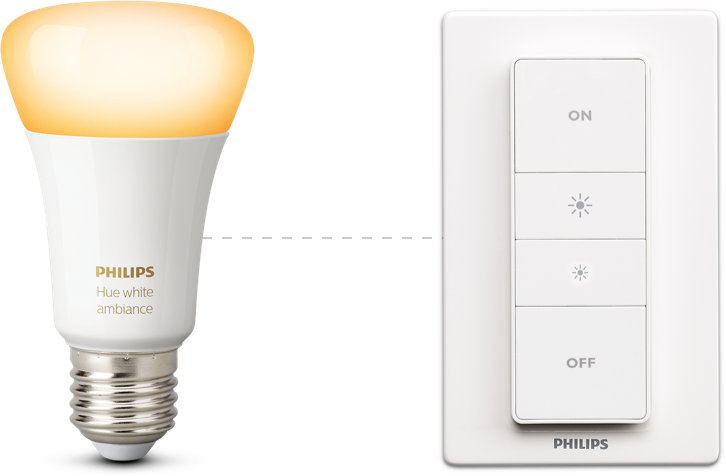 Wireless | Philips Hue IN