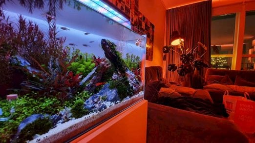 Where to use LED strips: indoor and outdoor strip lighting ideas ...